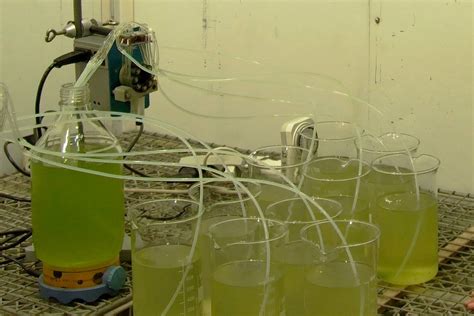 Intro Dose Response Bioassay