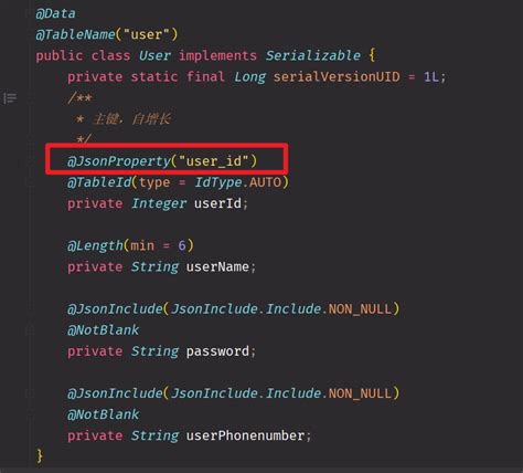 开发时实体类编写时需要注意的细节，以及常用的一些注解 于道 博客园