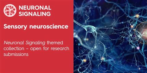 Neuronal Signalings Special Collection On Sensory Neuroscience Is Open