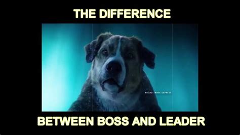 The Difference Between Boss And Leader Ricardo T Datts Csm Cpo