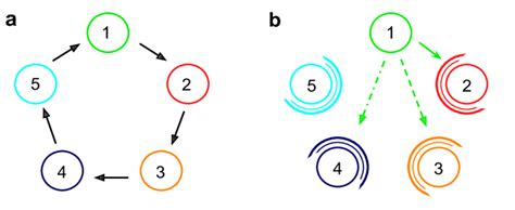 Selection Rules And Movement Tactics For The Case N 5 A