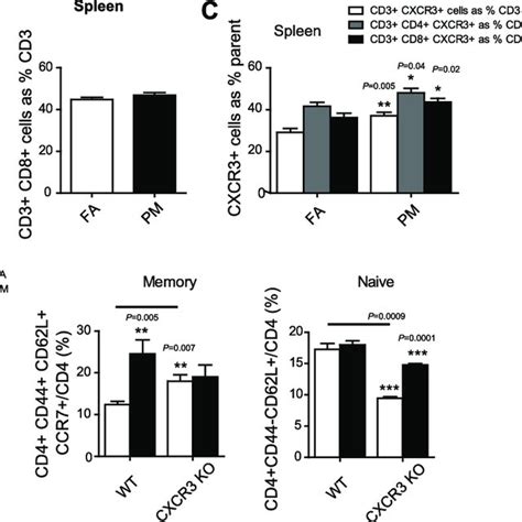 Inhaled Particulate Pollution Altered Splenic T Cell Populations And Download Scientific