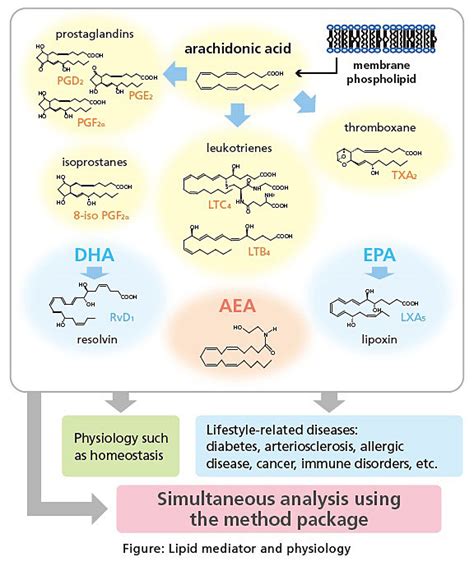 LC MS MS Method Package For Lipid Mediators Features SHIMADZU Shimadzu Corporation