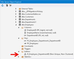 Entity Framework Core Conventions Tektutorialshub