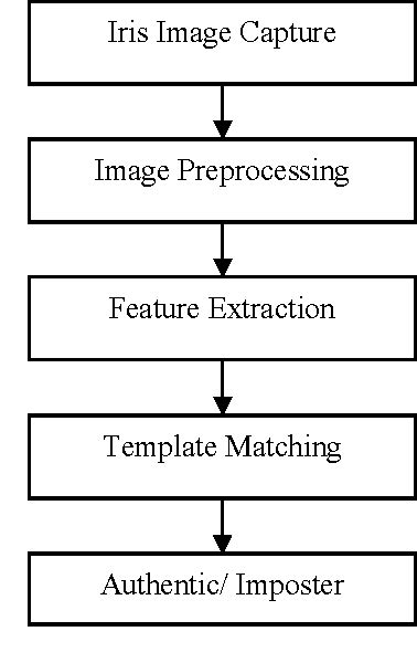 figure 1 from a review of iris recognition algorithms semantic scholar