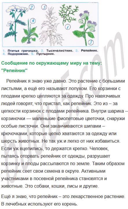 Страница 40 - ГДЗ Окружающий мир 2 класс. Плешаков. Рабочая тетрадь часть 1