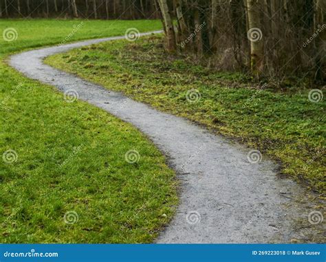 S Shaped Small Foot Path In A Park By A Trees And Green Grass Lawn