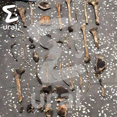 Sex Slave Forced Into Crucifixion Position And Tortured For 14 Years