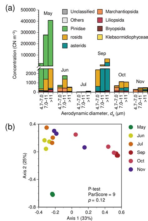 A Particle Size Resolved Concentrations Based On Plant Classes Or