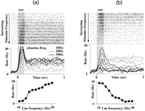 Persistent Neural Activity Of The Parametric Working Memory Model A