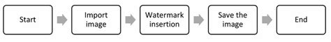 flow process of watermark insertion in the proposed application