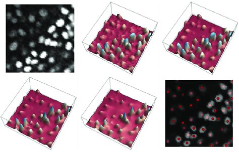 Demonstration Of The Nuclei Center Detection Process Top Left 2d Download Scientific Diagram