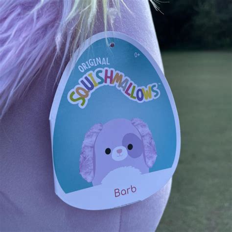 11 Barb Squishmallow 🐶 Bnwt Great Condition Depop