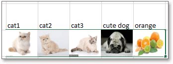 How To Conditional Formatting Smiley Face Chart Or Font In Excel Cells