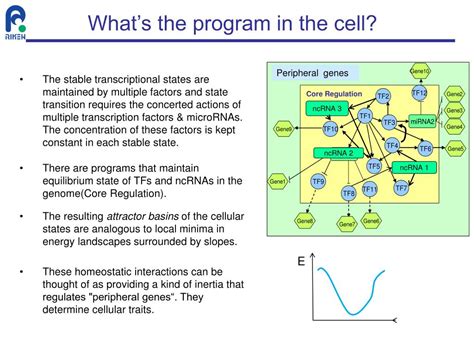Ppt Next Generation Sequencers And Progress On Omics Research Powerpoint Presentation Id 7018525