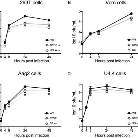 Replication Kinetics In Mammalian And Insect Cell Lines Replication