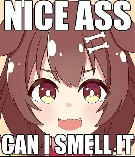 Planesgirl💋 On Twitter New Solo 💦👅 Planesgirl