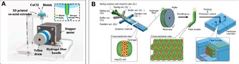 Microfluidics Assisted Formulation Of 3d Bundles Of Microfibers A Download Scientific