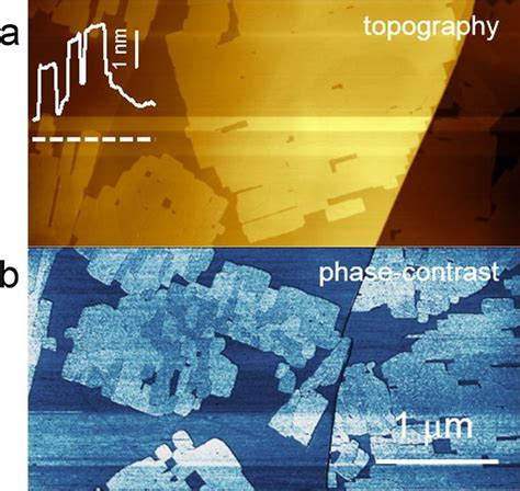 Dipartimento Di Fisica