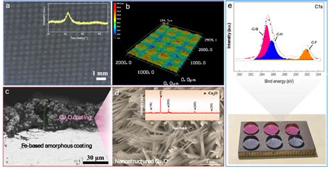 Structure Of The As Prepared Coating A Surface Morphology And B 3d Download Scientific