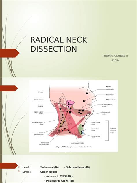 Radical Neck Dissection Pdf Radical Neck Dissection Pdf