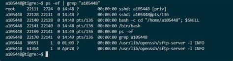 Multiple Processes Running Bash On A Ssh Server Stack Overflow
