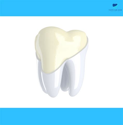 Tooth Enamel