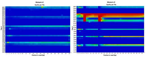 Heatmaps Of The Sequencing Per Tile Means Obtained From Fastqc