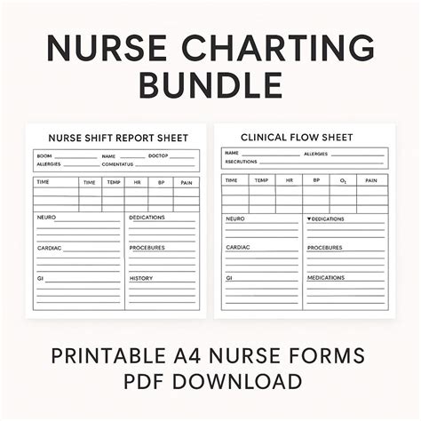 Nurse Charting Bundle Shift Report Clinical Flow Sheet Insulin