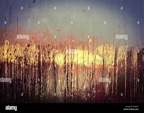 Do Plants Get Enough Light Through Frosted Glass At Eva Gopinko Blog