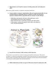 A Tour Of The Cell Chapter 6 Pdf 1 What Features Are Found In Common In Both Prokaryotic And
