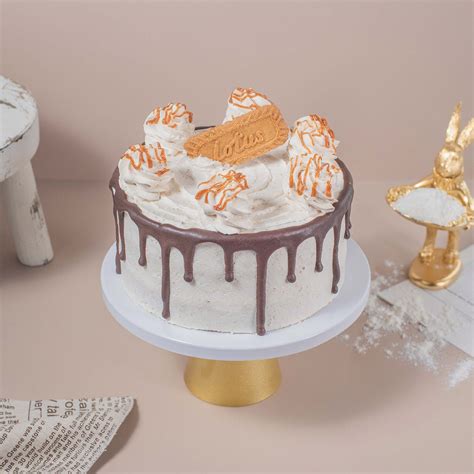Biscoff Eggless Cake Whyzee