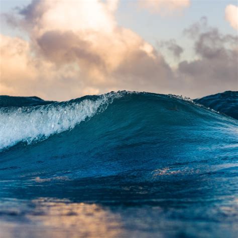 Seawater Density Properties Salinity And Fresh Water Udtech