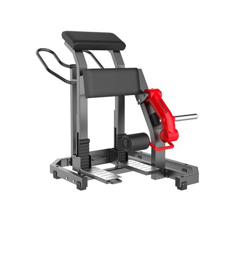 Standing Hamstring Curls Machine Selling Discount Randa Tn