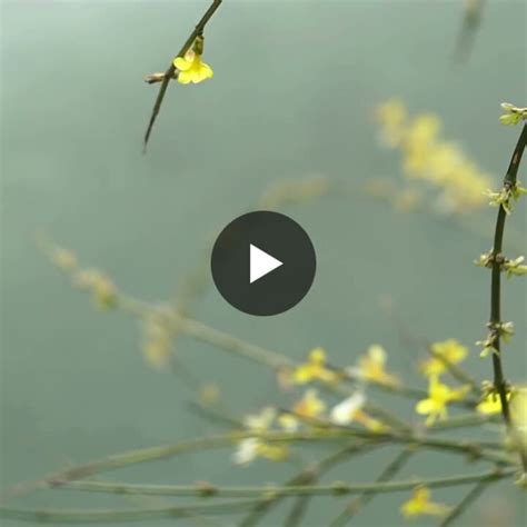 Fabulousfriday Feelgoodfriday Endtheweekstrong Pathtosucceed Connie Cotter