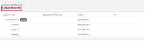 What Is The Salesforce Account Hierarchy
