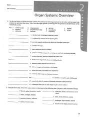 Human Anatomy Organ Systems Study Guide Course Hero