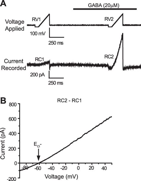 Experimental Protocol For Measuring Cl Reversal Potential E Cl A