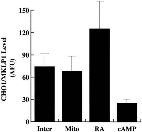 Quantitative Immunofluorescence Analyses On The Levels Of Cho1 Mklp1 Download Scientific