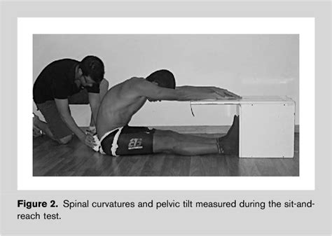 Figure 2 From Criterion Related Validity Of Sit And Reach And Toe Touch Tests As A Measure Of