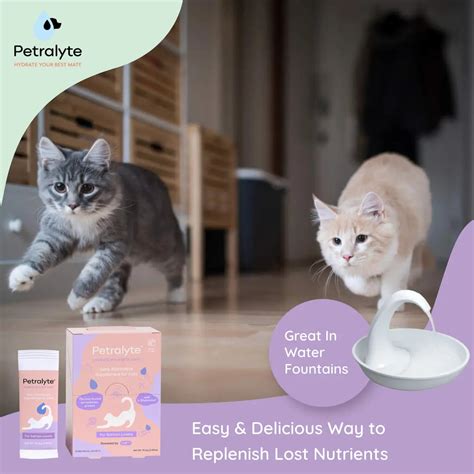Cat Electrolyte And Joint Supplement Petralyte