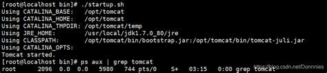 在linux下tomcat已启动，但是查不到进程 为什么linux下tomcat启动成功了但是进程里找不到 csdn博客