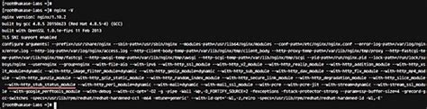 Cómo Monitorizar Nginx Con Netdata En Centos 7 Howtoforge