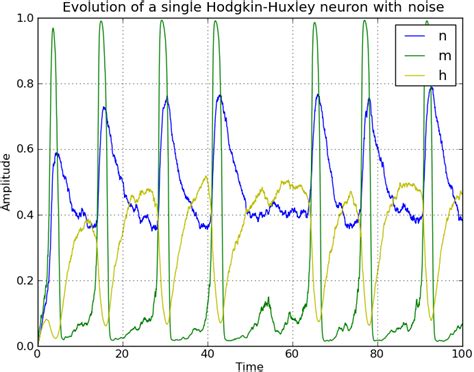 Noisy Hodgkin Huxley Model Left Time Evolution Of The Three Ion Download Scientific Diagram