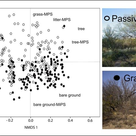 Nonmetric Multidimensional Scaling Ordination Showing Differences In Download Scientific