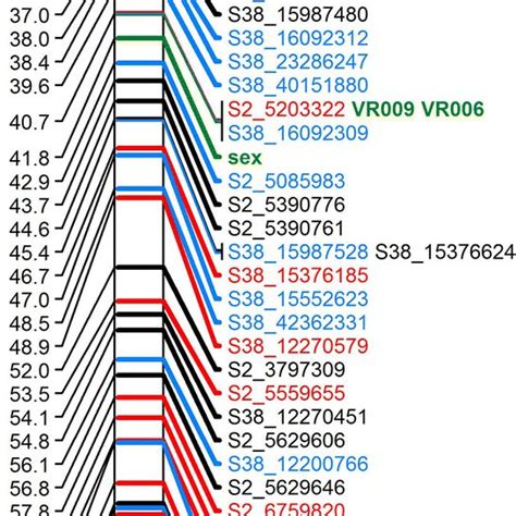 Genetic Position Of The Flower Sex Locus On Linkage Group 2 Of The V