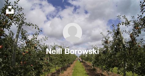 Neill Borowski Neillborowski Unsplash Photo Community