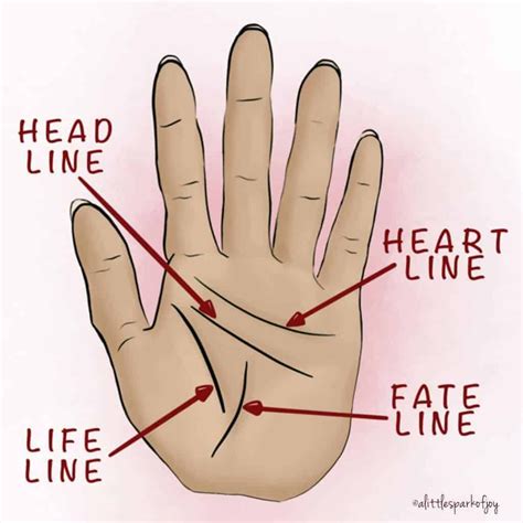 Lifeline In Palmistry Palm Reading Life Line On Palms How To Read