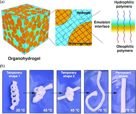 The Network Architecture And Sme Of The Organohydrogel A Schematic Download Scientific