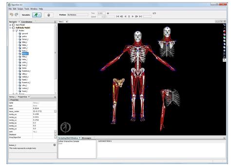 11 Screen Record That Shows Opensims Gui With Different
